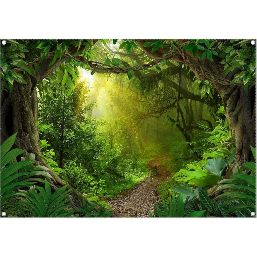 7x5ft Jungle Forest Photography Backdrop Tropical Rainforest Natural ...