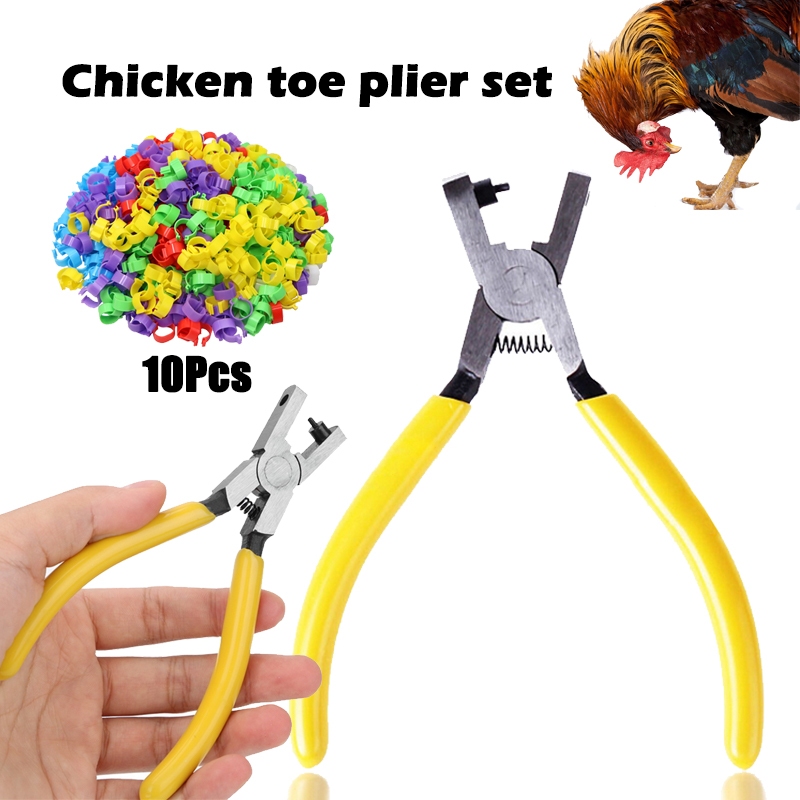 2mm Yellow Chick toe puncher Poultry universal puncher Chicken Farm ...