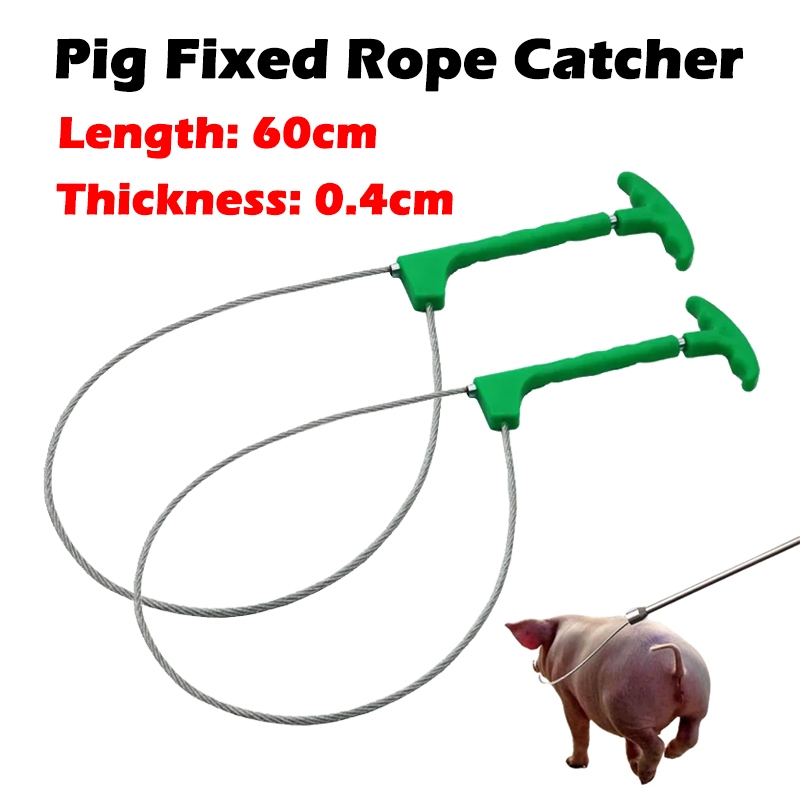 Stainless steel Pig holder Fixed rope catcher Animal snare trap for ...