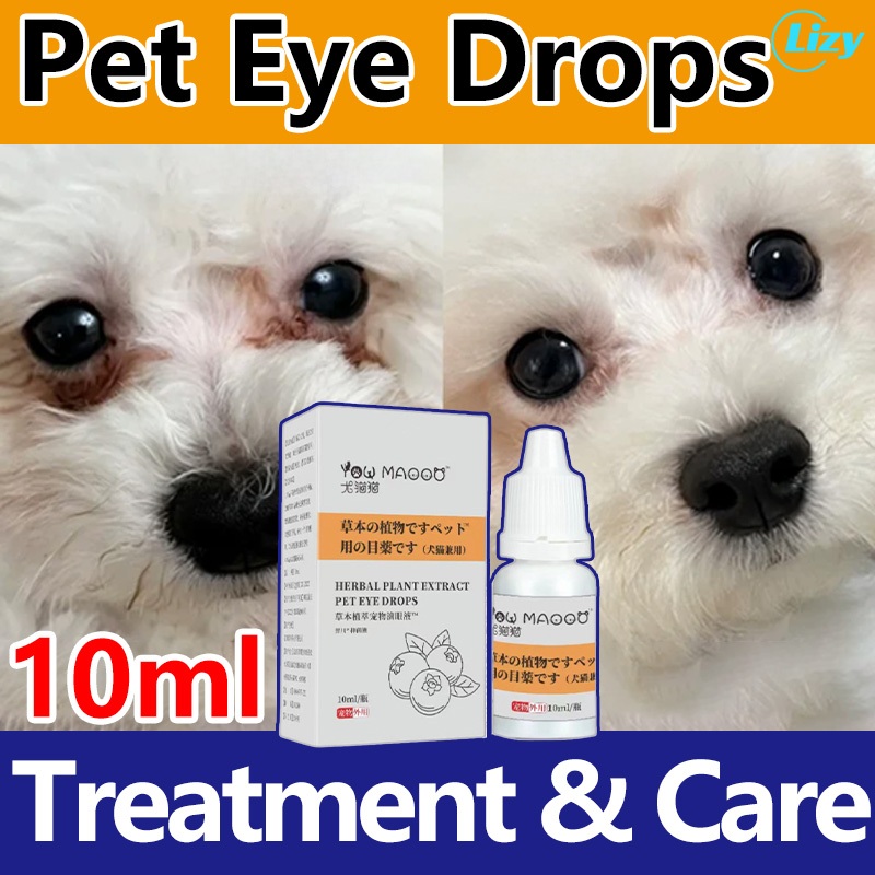 LIZY Japan import Eye drops for dogs 10ml Pet eye drops for cats Eye ...