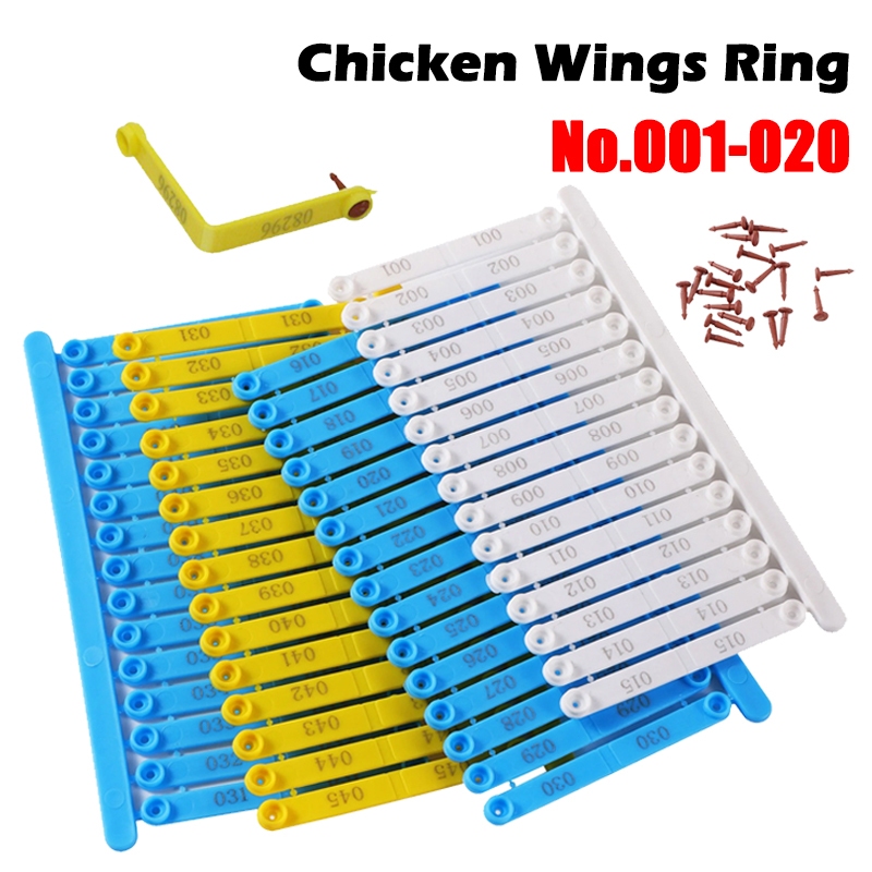 20Pcs Wingband Chicken wings Identification ring Identification tag for ...