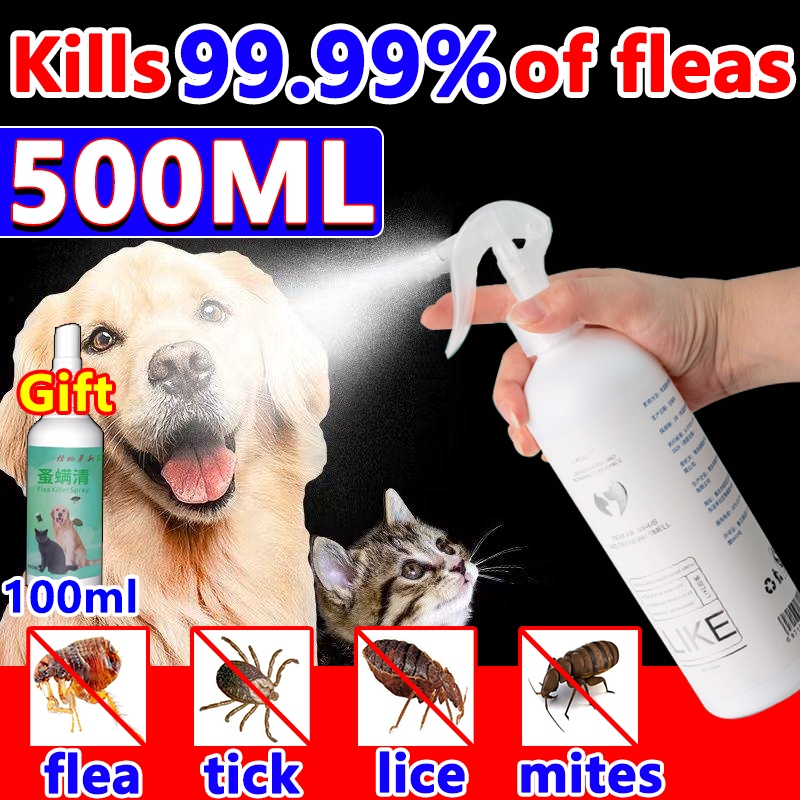 Tick and Flea Spray 1500ML Anti Tick Garapata FleaPulgas & Lice Kuto ...