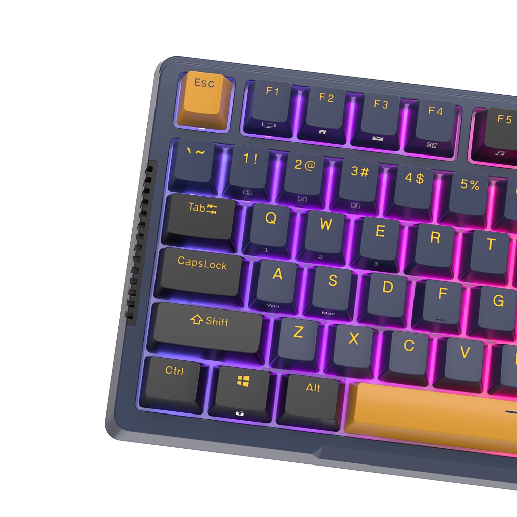 RK H81 Time Machine Color Matching Royal Kludge 81 Key Three Mode ...