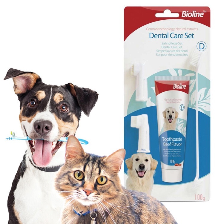 Pet Toothbrush Toothpaste Set Fresh Breath Mint/Chicken/Beef Flavor Cat ...