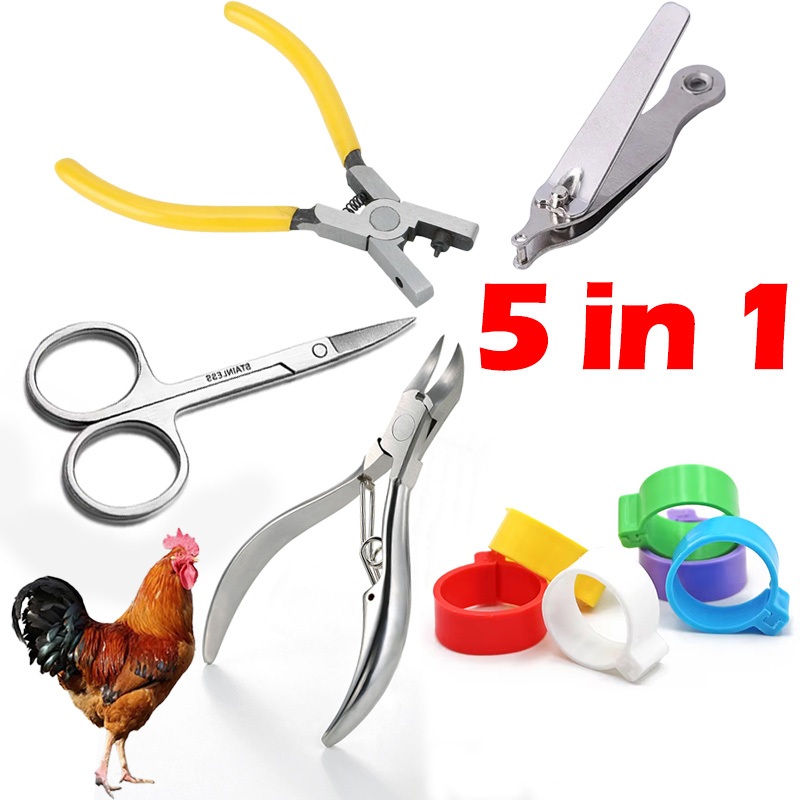 5 in 1 Gamefowl kit Chick toe puncher set Stainless Chicken feet marker ...