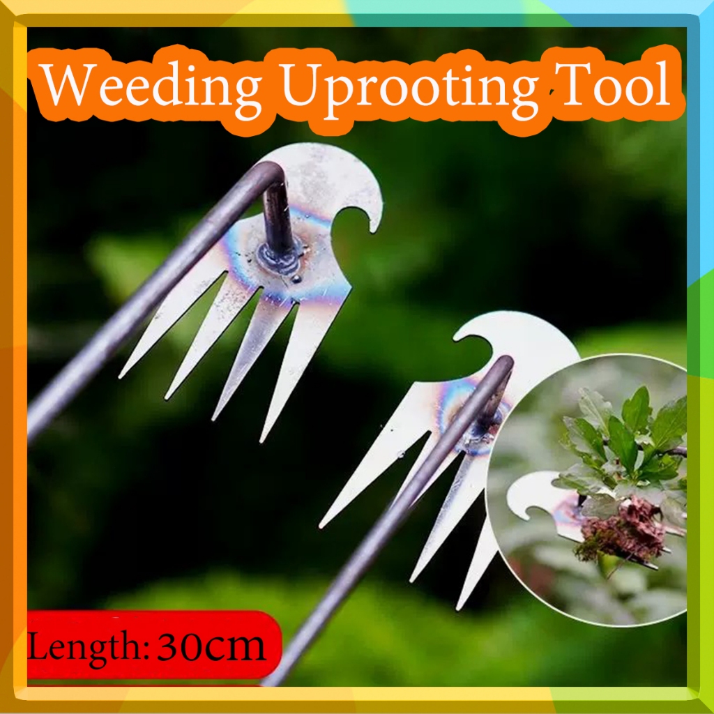 Stainless Steel Weeding Tool | Multifunctional Hand Weeder with 4 Teeth ...