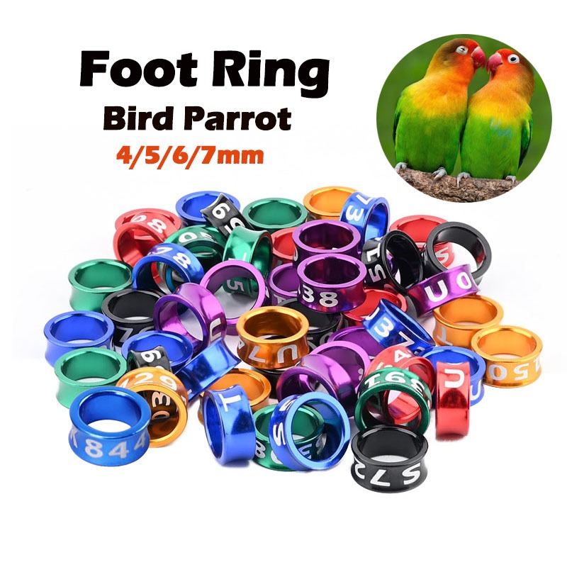 10Pcs Parrot Foot Ring identification ring for African Birds,Lovebirds ...