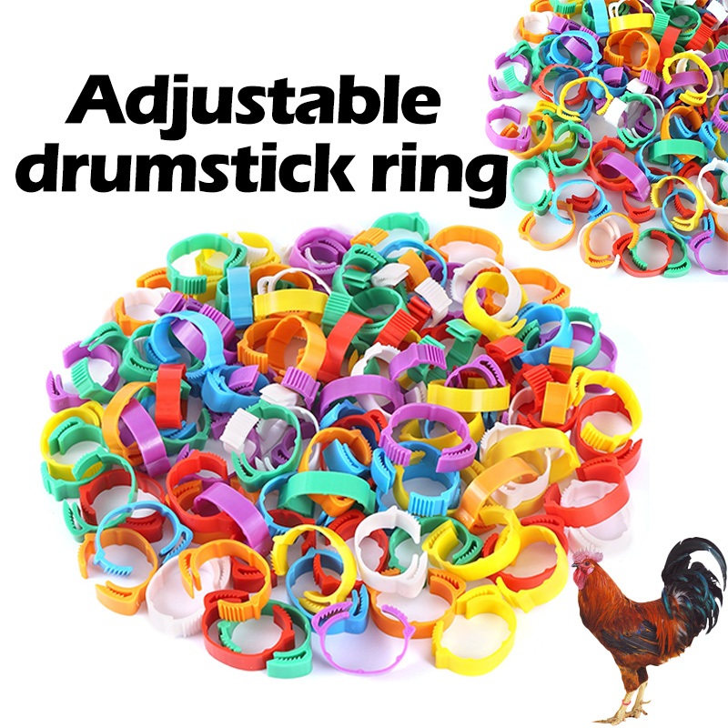50/100Pcs Adjustable chicken leg rings Chicken leg band Gamefowl leg ...