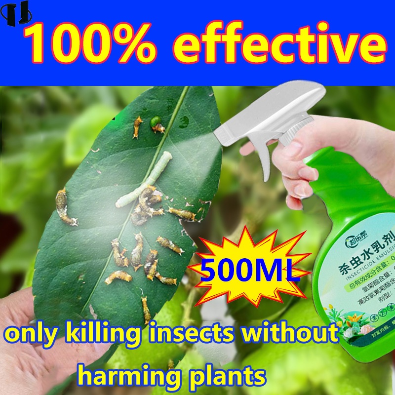 【All the pests are dead】Plant insecticide spray 500ml No harm to plants ...