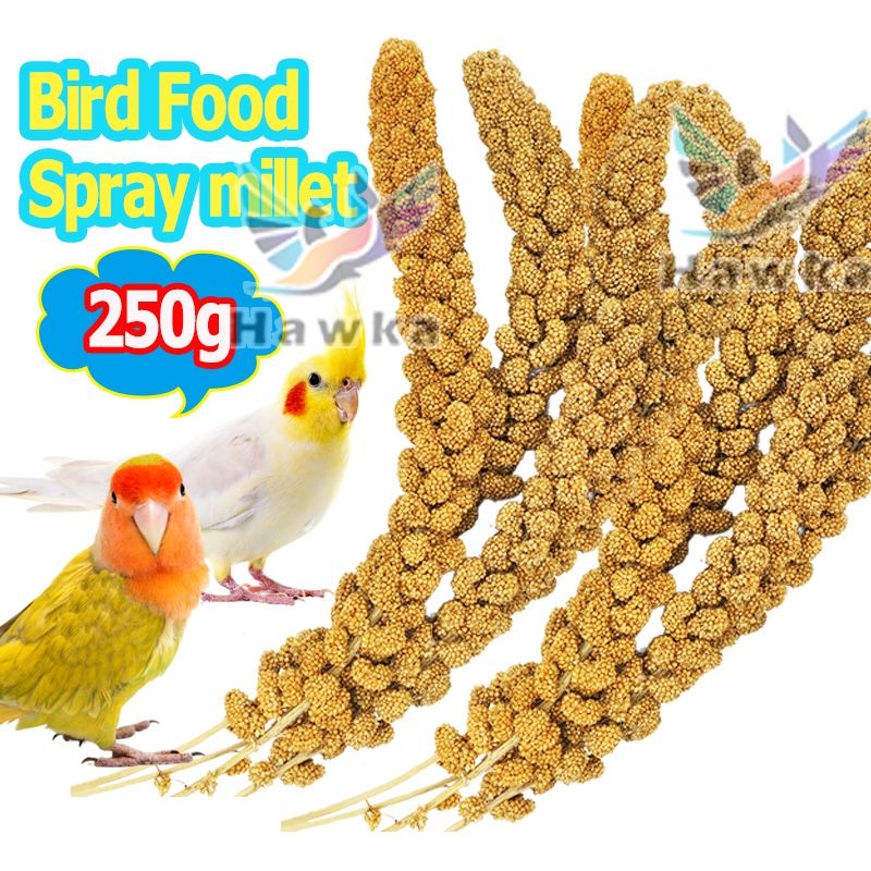 250g Parrot bird spray millet Natural grain ears with shells Yellow ...