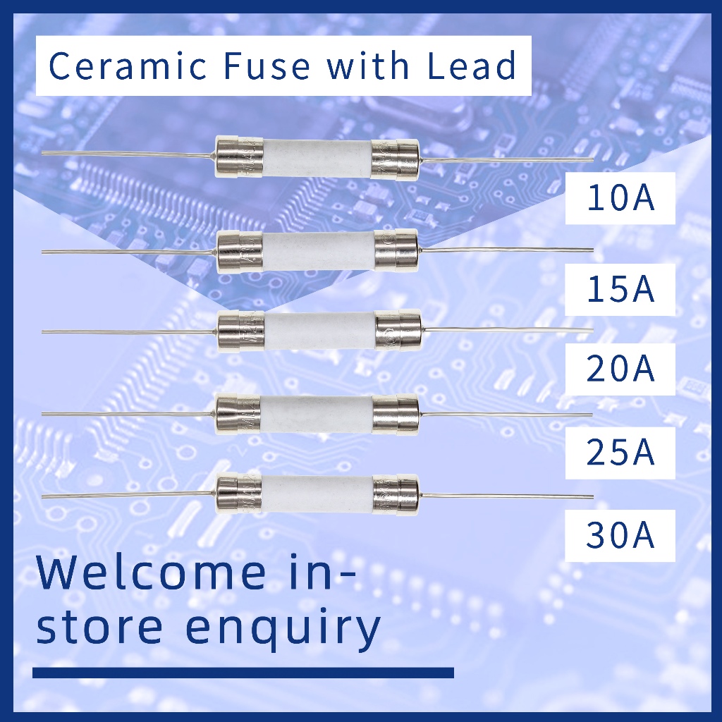 3-20PCS 6 * 30mm 250V Fast-Blow Ceramic Fuse with Lead 10A 15A 20A 25A ...