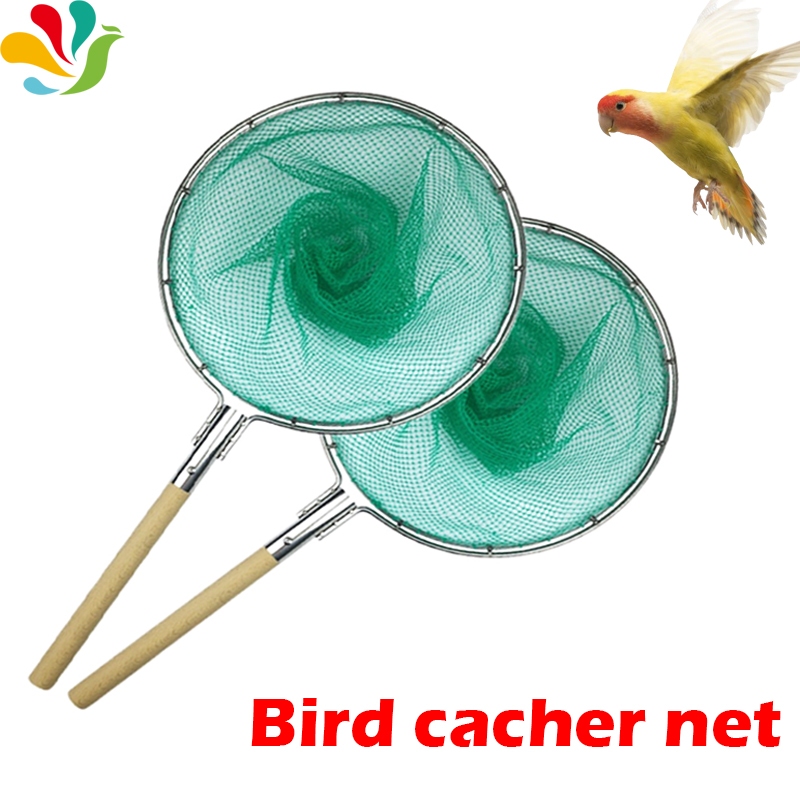 Bird Catcher Wooden Handle 1/2/5Pcs Flexible Bird Catching Net for ...