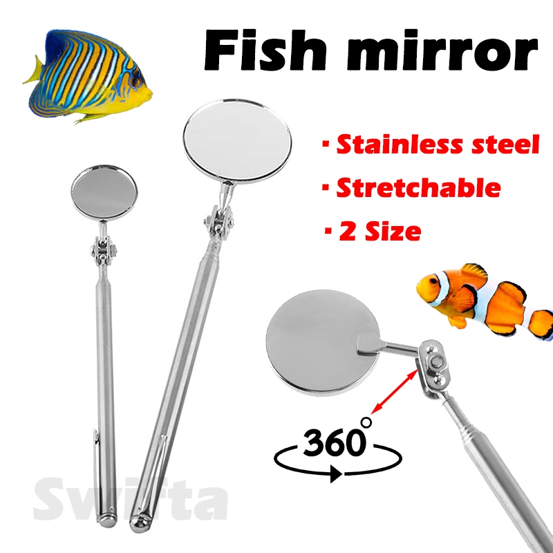 Stainless steel Betta strike reflect mirror Betta training mirror for ...