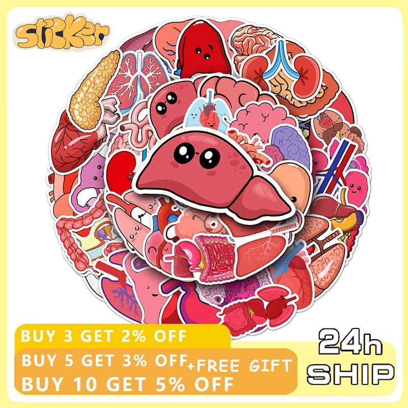 50pcs Cartoon Red Human Body Organ Sticker Anatomy Map Decal DIY Water ...