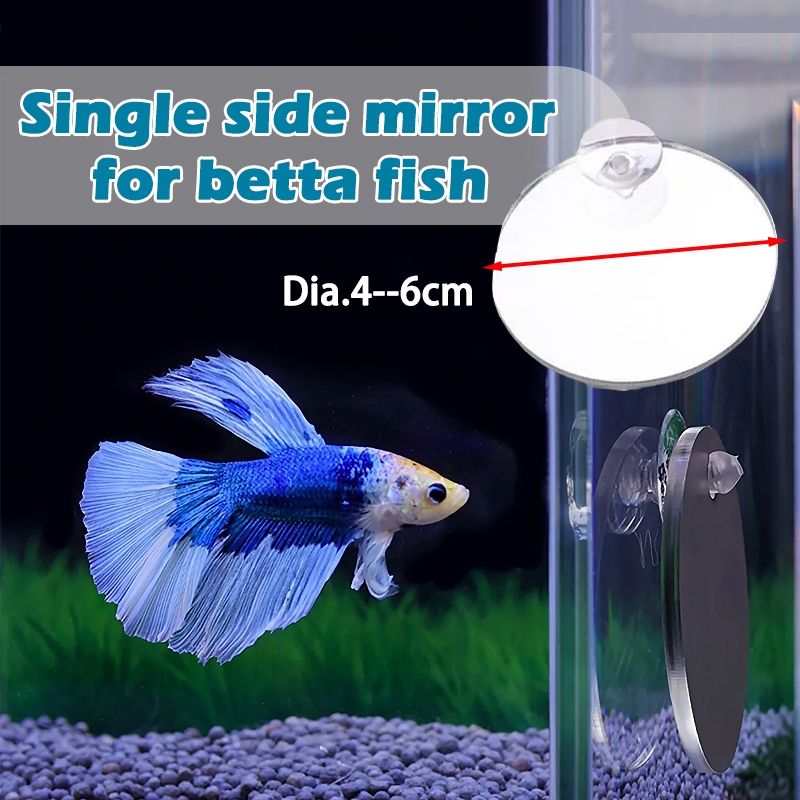 Betta fish training mirror Aquarium single-sided Floating mirror for ...