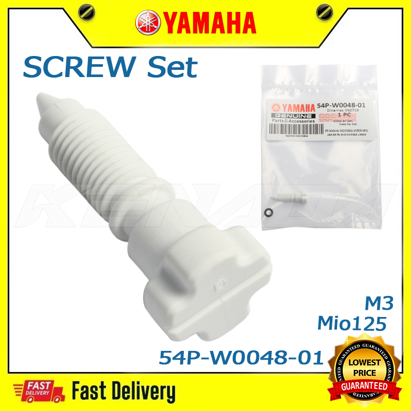 Motorcycle Throttle Body Series Idle Screw Speed Adjusting Screw Kit ...