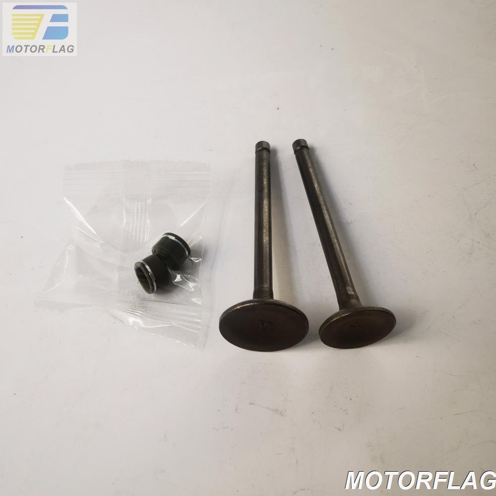 Valves (Intake Valve & Exhaust Valve) for CBT125 CBT150 CM150 Rebel ...