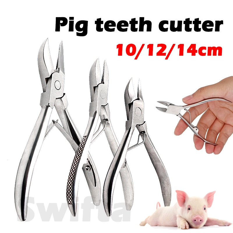Pig tooth nipper Stainless steel teeth cutter Piglet broken tooth ...