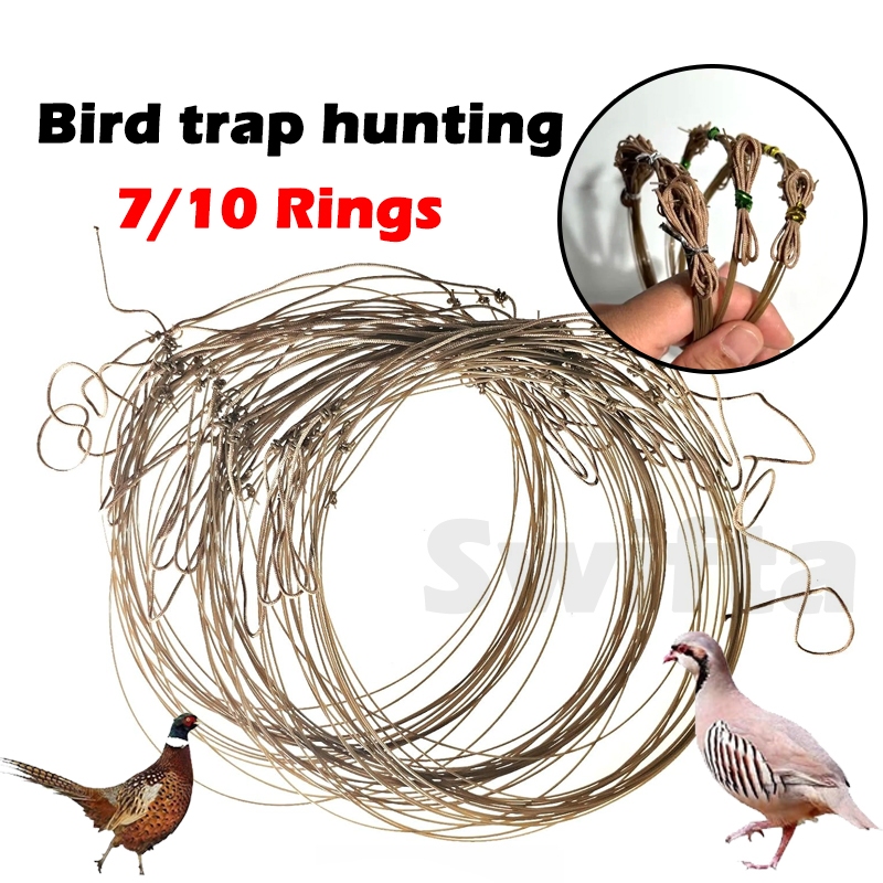 Wild chicken trap Racik snare hanging rack trap for allure bird ...