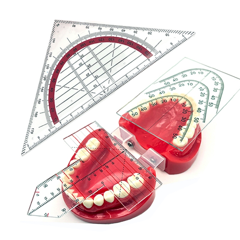 Dental Guide Plate Arch Ruler Teeth Arrangement On Denture Work Dental ...
