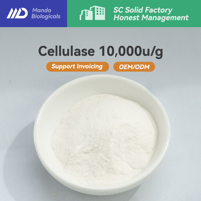 Food grade Cellulase 10,000u/g enzyme activity-non-starch ...