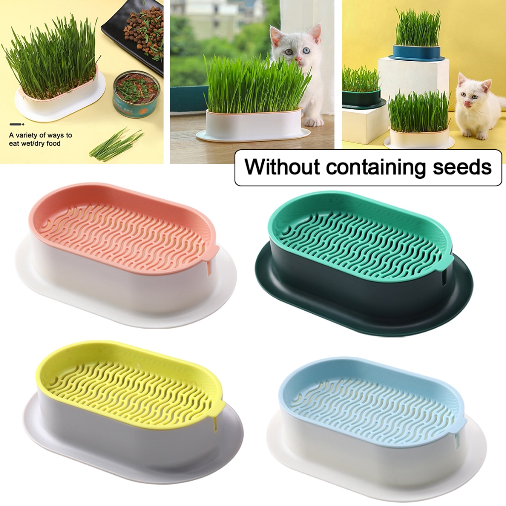 2024 New Cat Grass Hydroponic Tray Soilless Planter Miniature Growing ...