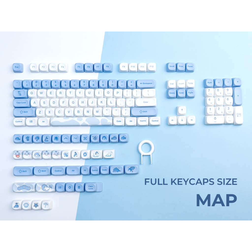 XVX Dolphin MOA Profile Dye-Sub PBT Keycap Set 145-key | Shopee Philippines