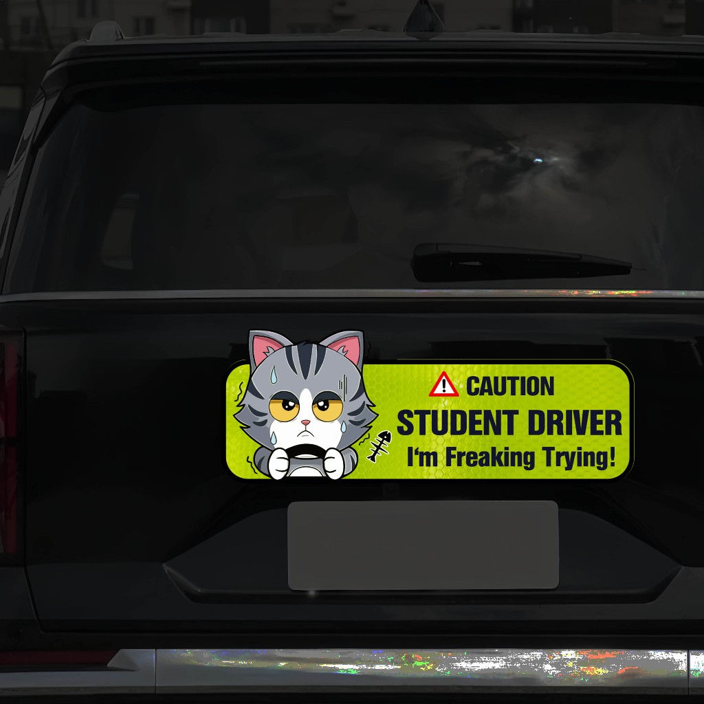 Quirky Cat Reflective Car Sticker For Student Drivers, Car Warning ...