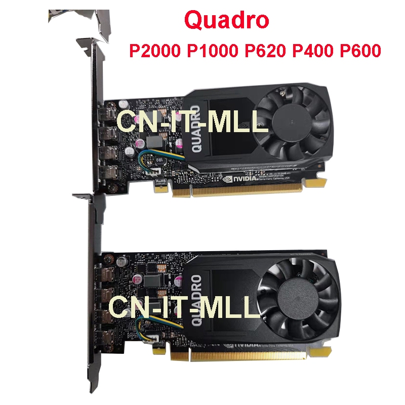 Quadro P400 P600 2GB P2000 5GB P1000 P620 4GB professional graphics ...