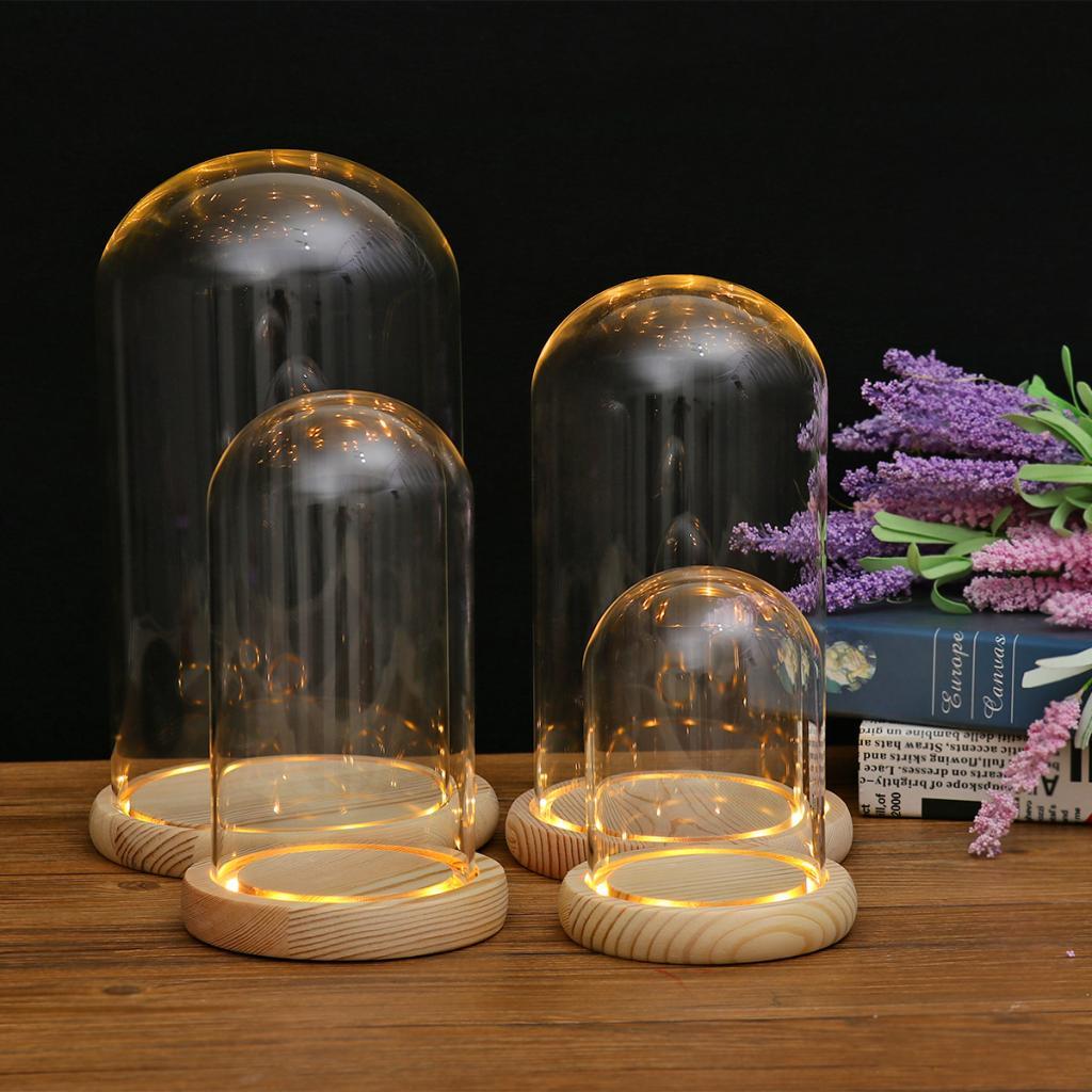 [Local delivery] Clear Glass Dome With Wooden LED Lights Base for Home ...