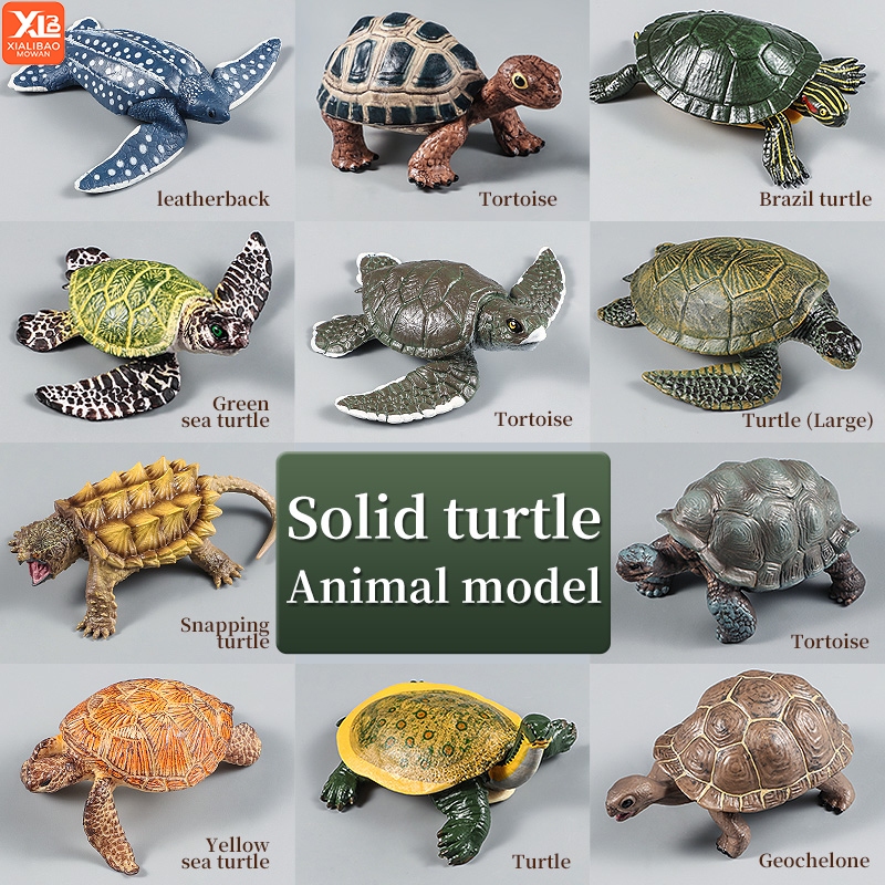 Ocean Animals Leatherback Tortoise Alligator Turtle Tortoise Sea Life ...