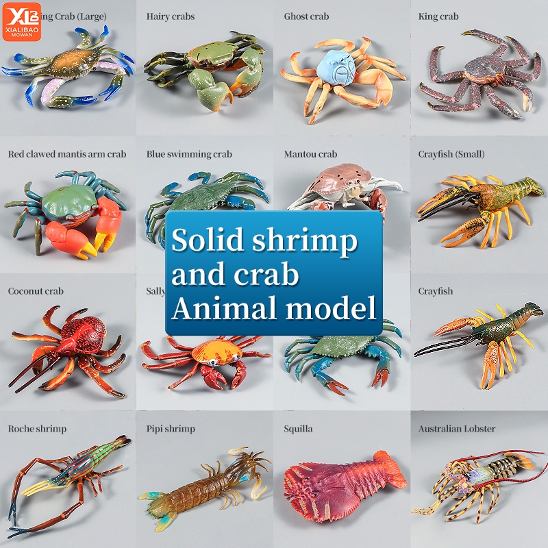 Simulation Ocean Marine Sea Life Models Animal Action Lobster Crab ...