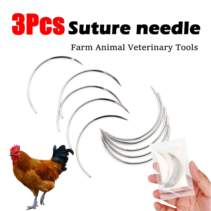 3Pcs Stainless surgical suture needle Curve needles for animals pig ...