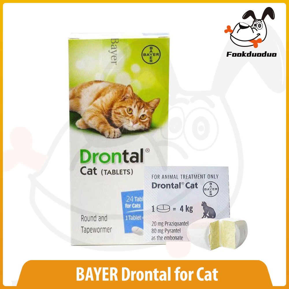 Drontal Cat Tablet for Treatment and Control of IntestinalWorms in Cats ...