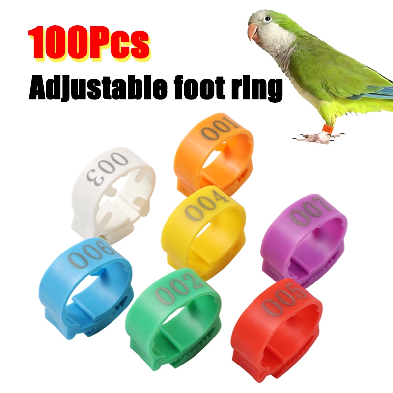 100Pcs Plastic adjustable pigeon ring Digital clip pigeon foot rings ...