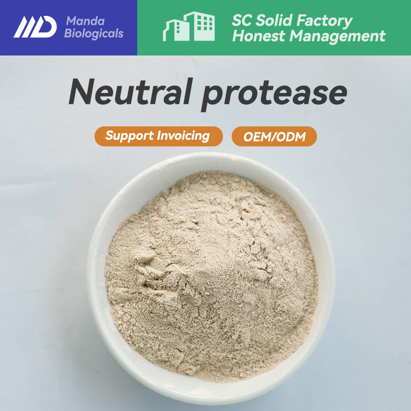 Wholesale raw material neutral protease food grade Bacillus subtilis ...