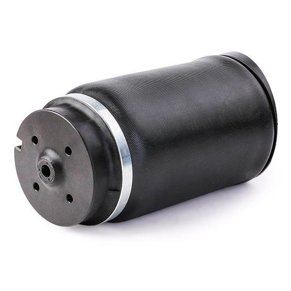 2513200425 251 Rear Shock Absorber Spring Rear Air Bag Air Suspension ...