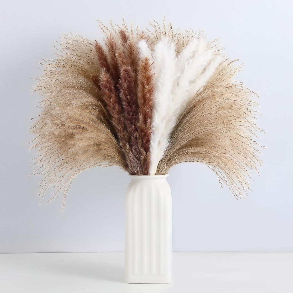Dried Pampas Grass Decor (1 stem) Natural Brown & White Pampas Grass ...