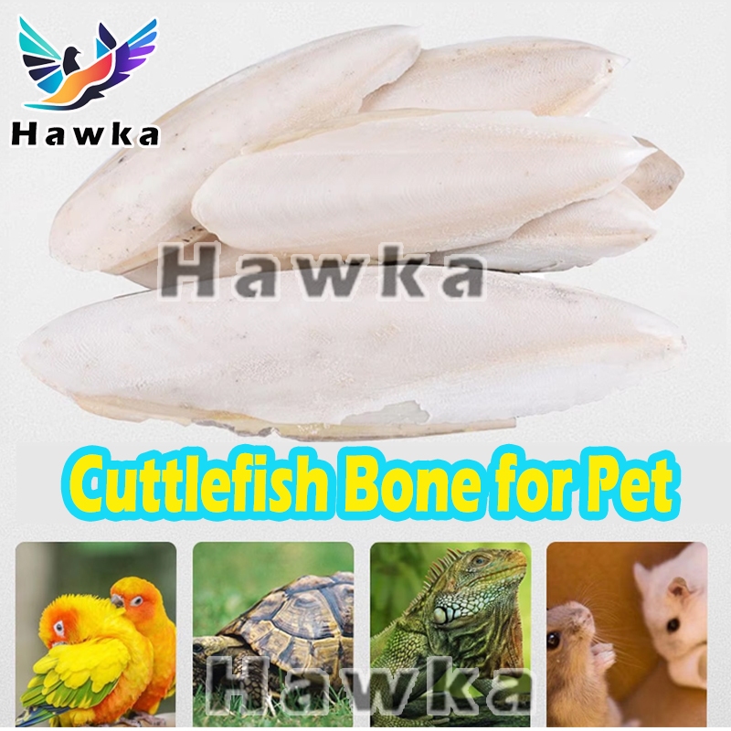 Cuttlebone Natural Calcium Source Cuttlefish Bone Parrot Molar ...