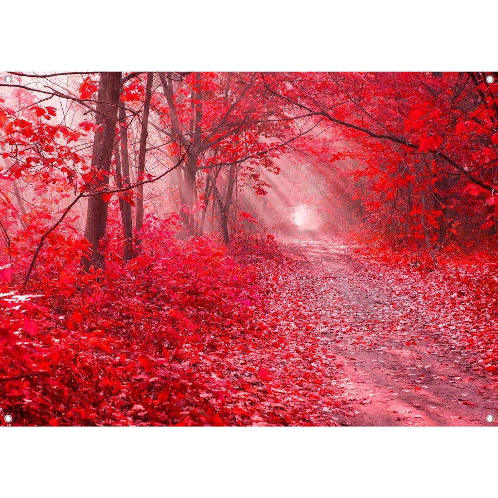 7x5ft Red Autumn Leaves Path Photography Backdrop Banner Romantic Maple ...