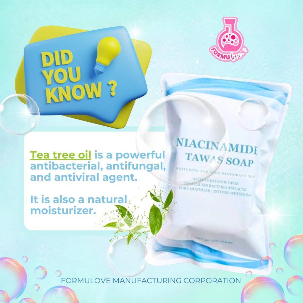 Niacinamide Tawas Soap 100g for Brighter Skin and Pore Minimization ...