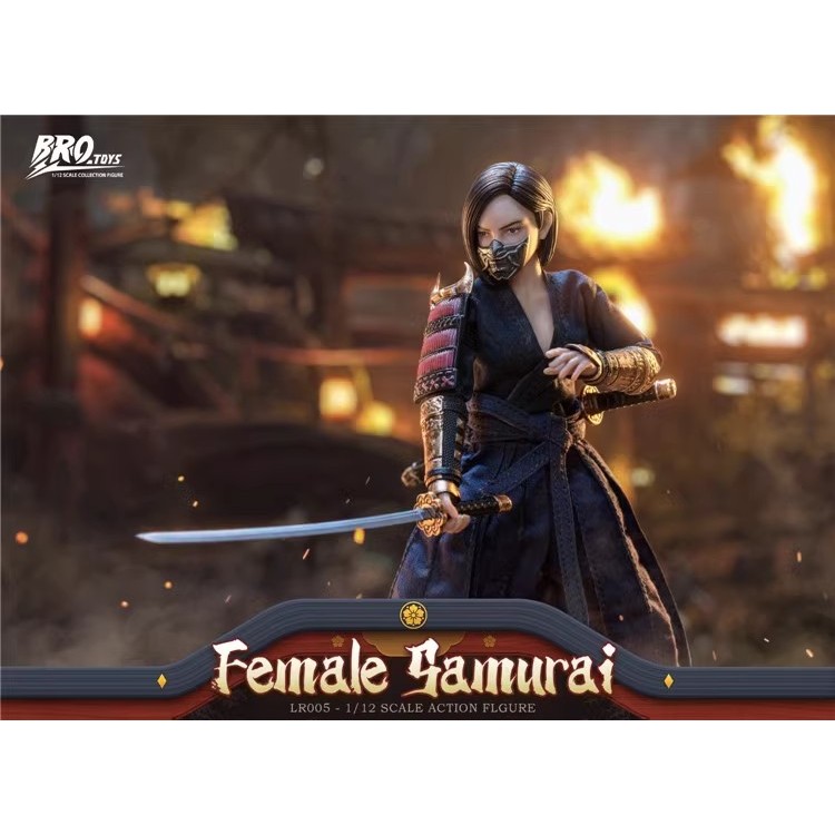 BROTOYS LR005 Female Ninja Warrior 1/12 6-inch Action Figure Model ...