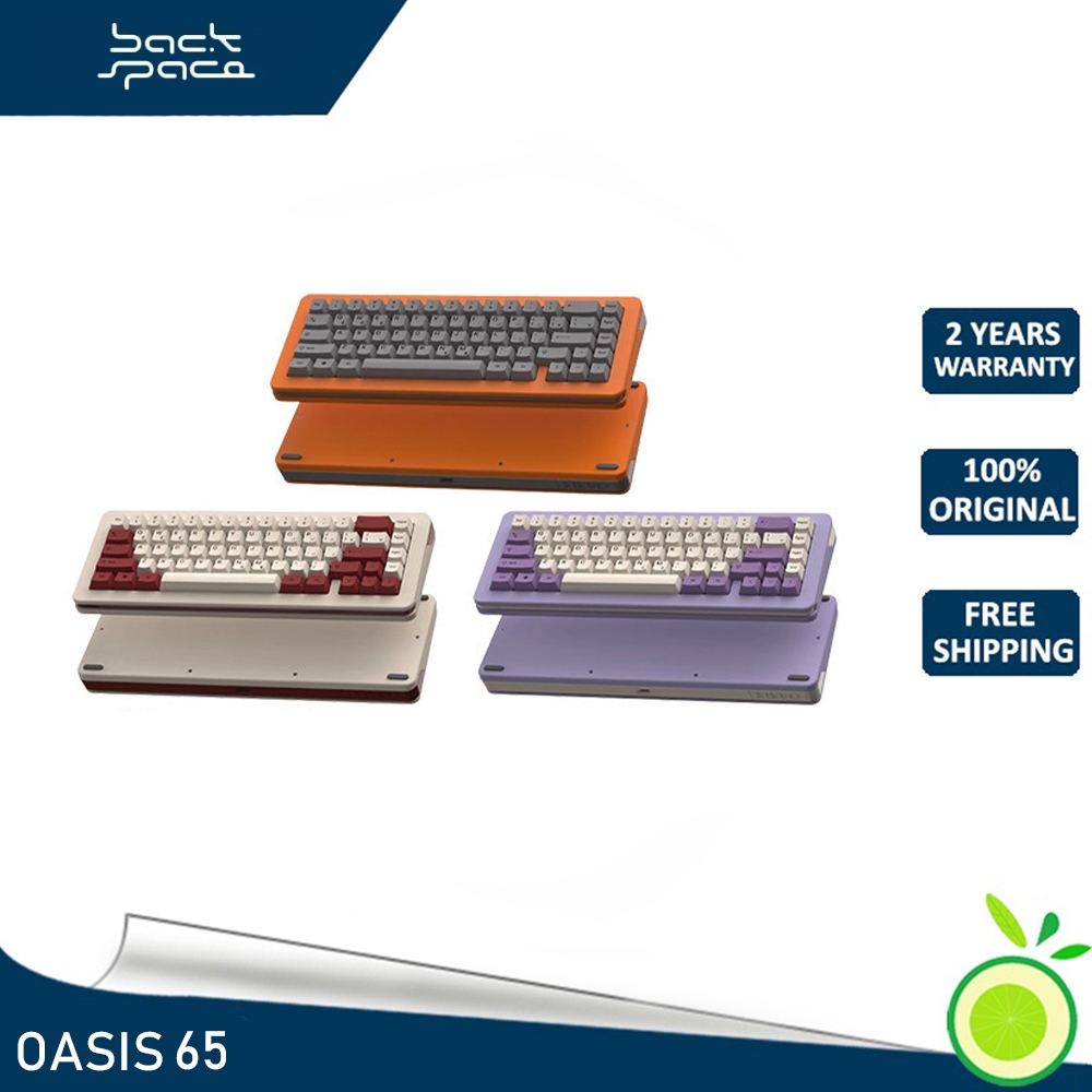 BACKSPACE OASIS 65 Wireless three mode hot plug customized mechanical ...