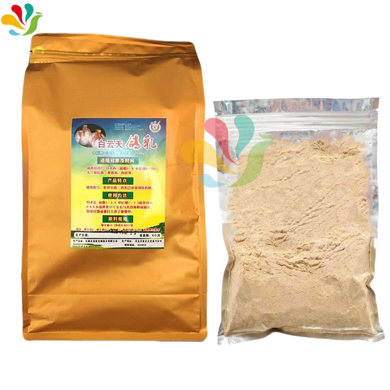 Pigeon feeds Handfeed formula for baby pigeons Dove formula milk powder ...