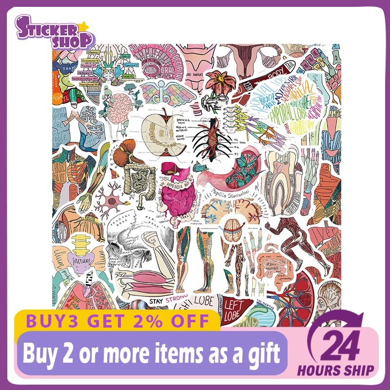 50pcs Anatomy And Physiology Body Structure Stickers Decoration Laptop ...