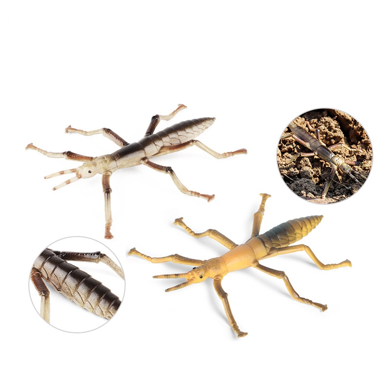 Children simulation animal insect model plastic toy ornament static ...