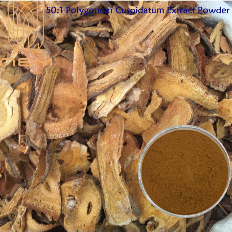 N&M/ 50:1Japanese Knotweed Extract Powder/ Polygonum Cuspidatum/ Rich ...