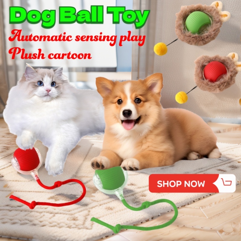 Cat Toy Ball Cat Toys Interactive Dog Toys Cartoon Plush Bouncing Ball ...