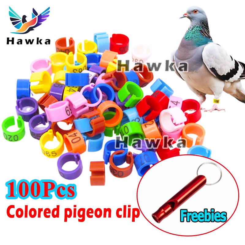 100Pcs 2024 Pigeon Clip Ring 8mm Plastic ring with numeric numbers ...