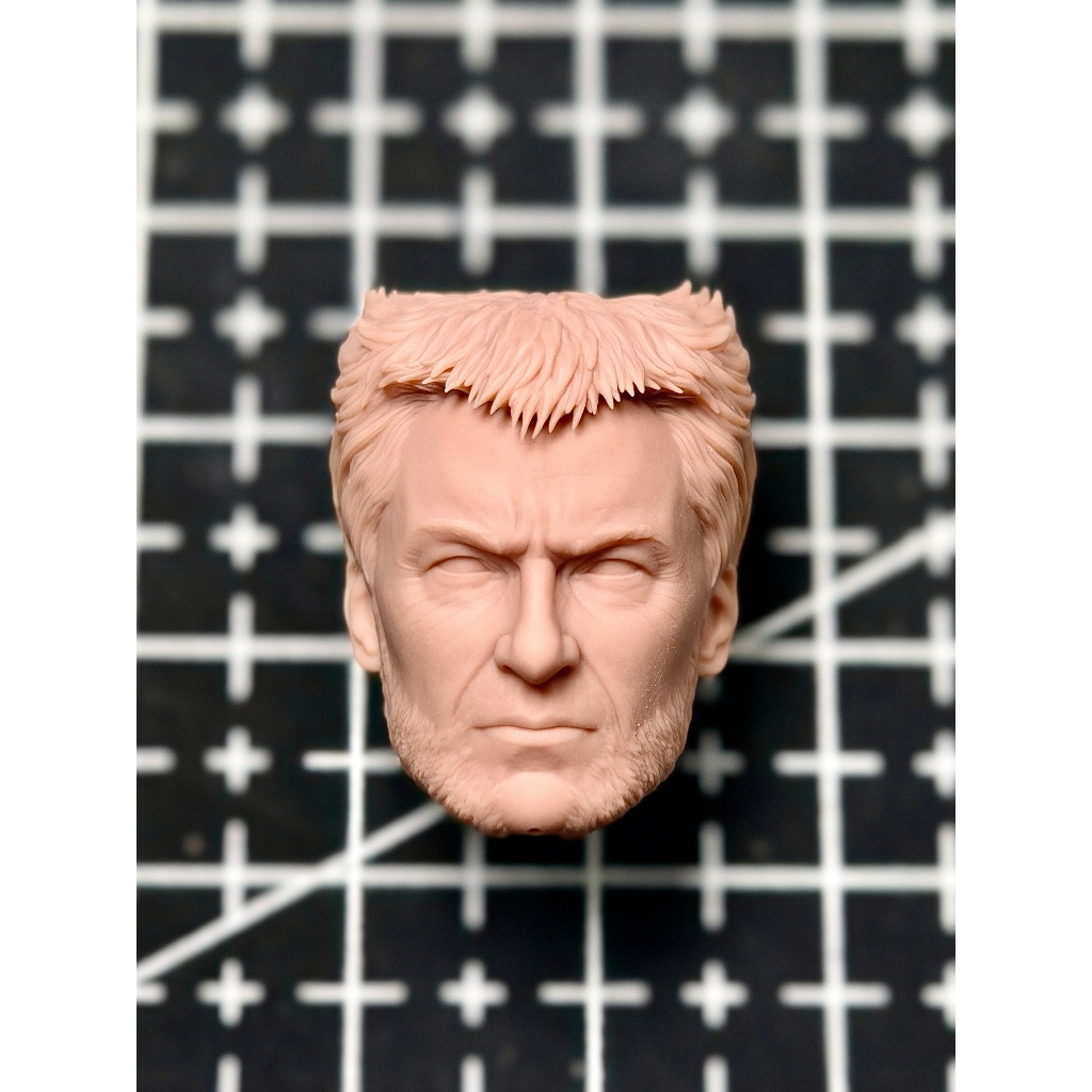Customized Painted Version 1/12 Scale Wolverine Logan Hugh Jackman Head ...